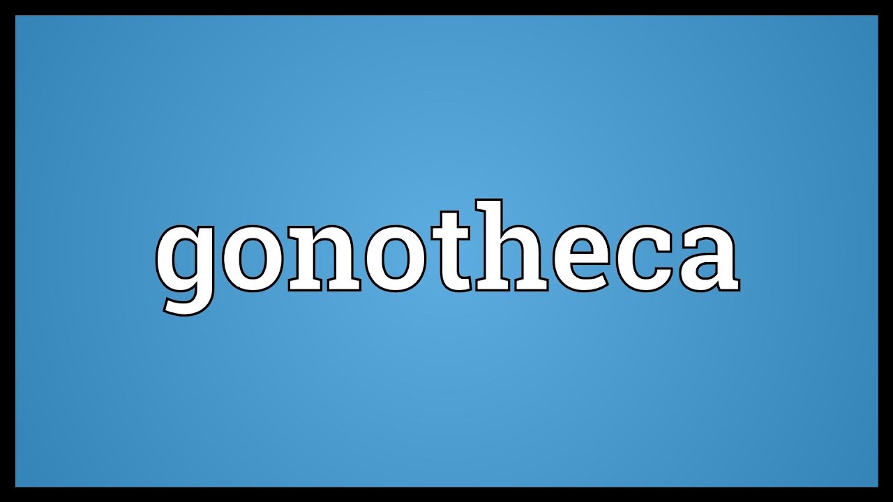 Gonotheca Meaning - YouTube