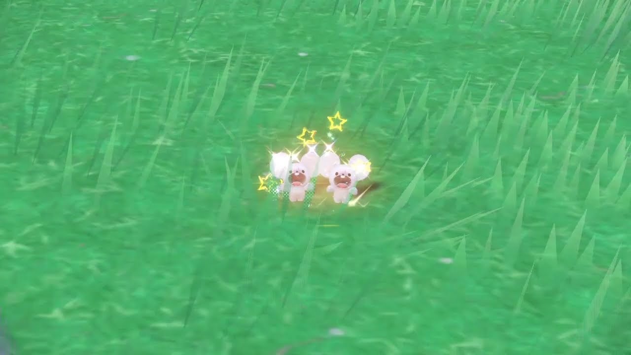 Shiny Tandemaus in Pokemon Violet (07/07/2023) Road to living Scarlet ...