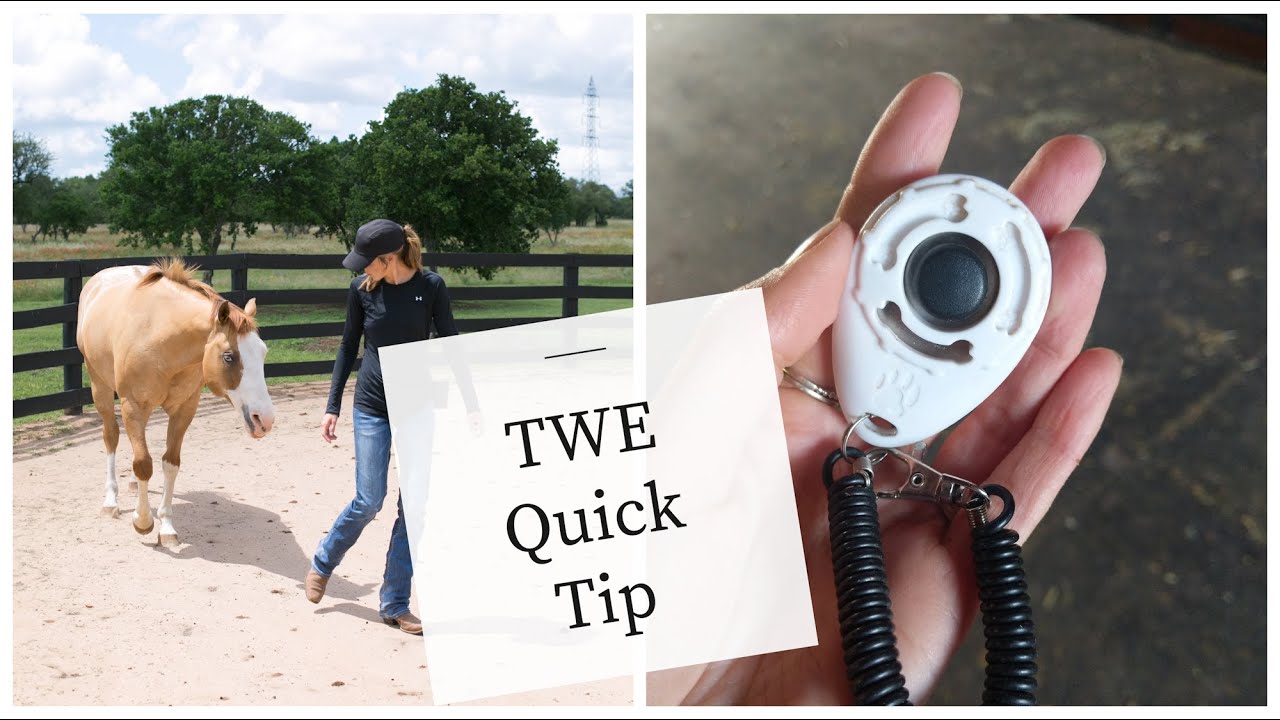 The Clicker Sound - YouTube