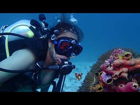 Andau Resort Private Island Raja Ampat. THE LAST PARADISE - YouTube