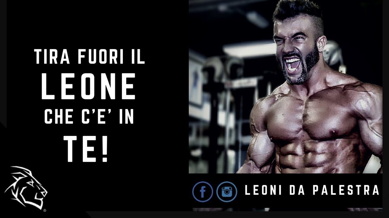 FAI SENTIRE A TUTTI IL TUO RUGGITO! | Leoni da Palestra | video ...