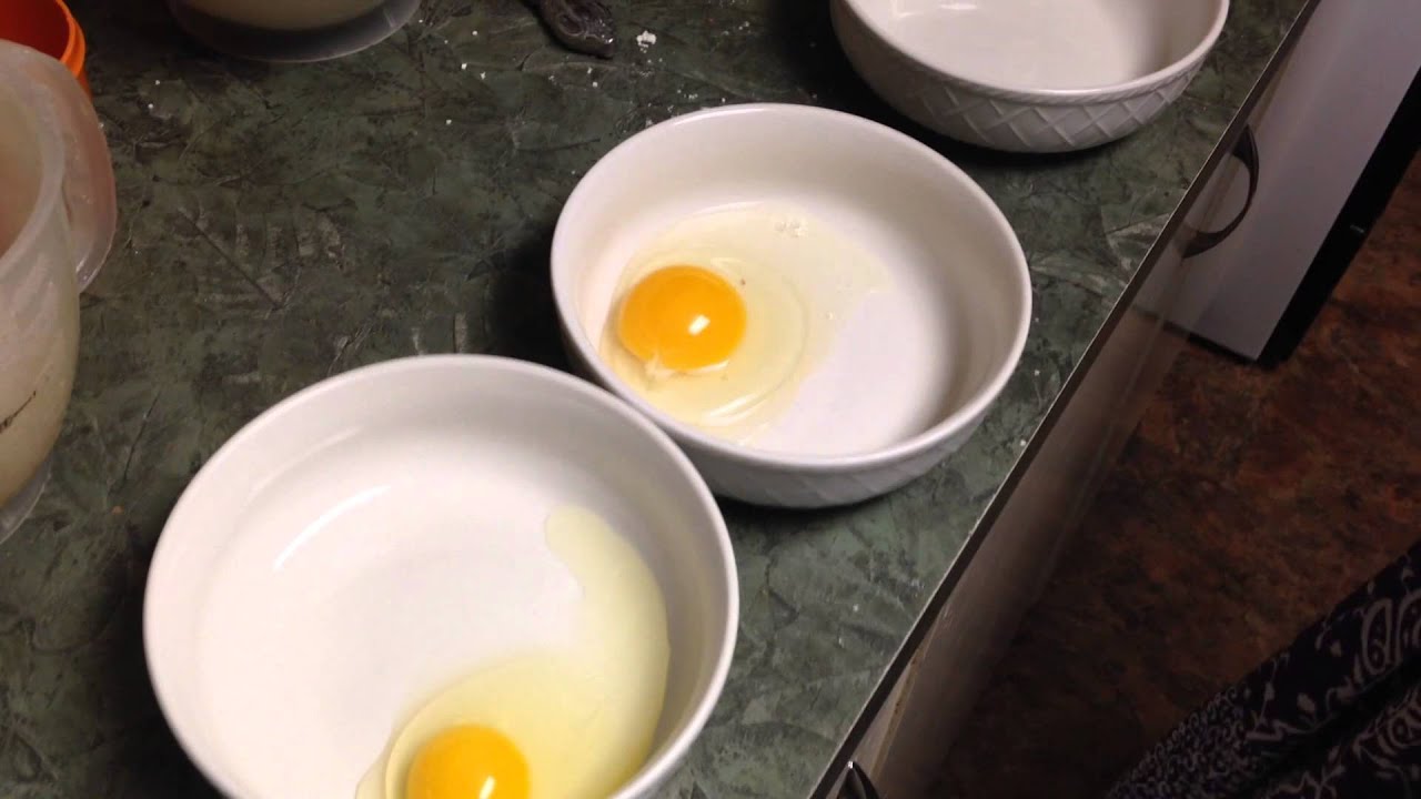 Eggsactly: a short video about eggs - YouTube