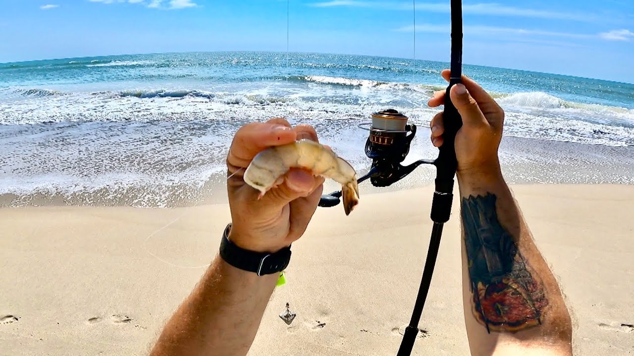 Beach Fishing W/Fresh Shrimp & Fishbites On A Windy Day! (Catch, Clean ...