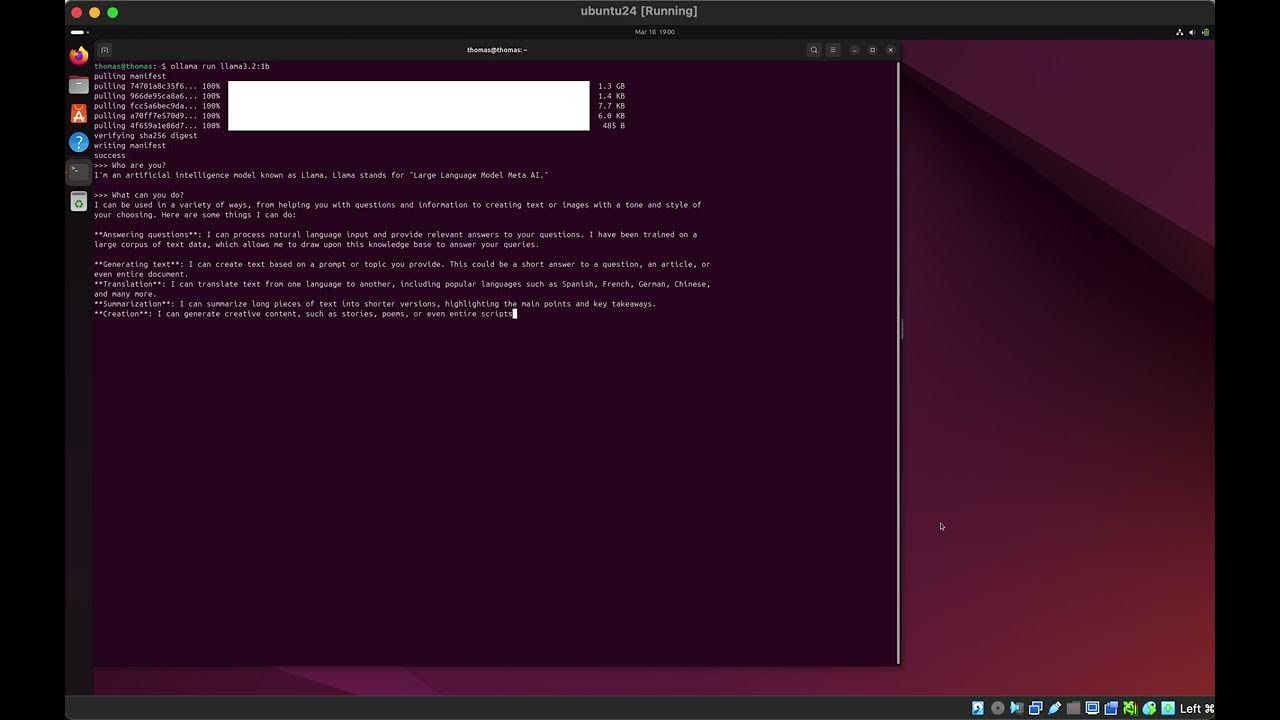 LLama AI answers "What can you do?" I do run LLama AI on my local server - YouTube