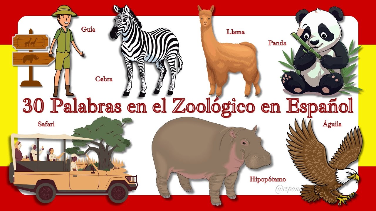 30 Palabras en el Zoológico en Español | Zoo Vocabulary in Spanish ...