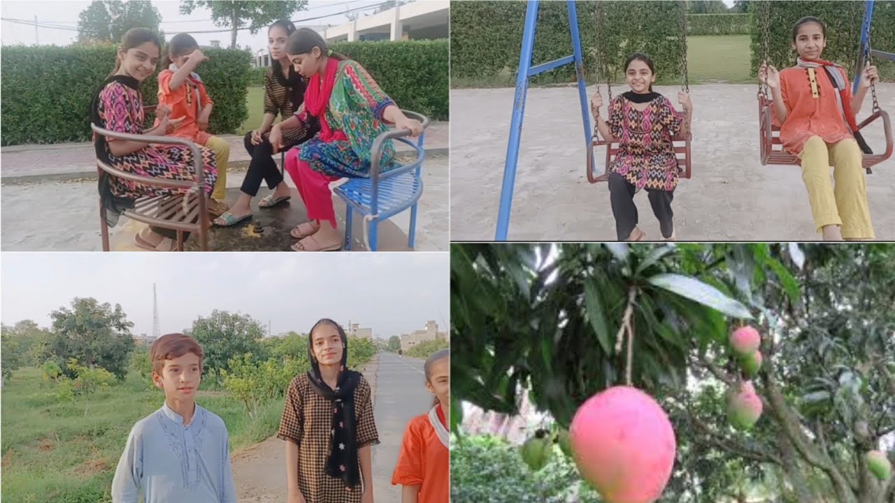 Morning walk 🌞|Pink Mangoes😱 - YouTube