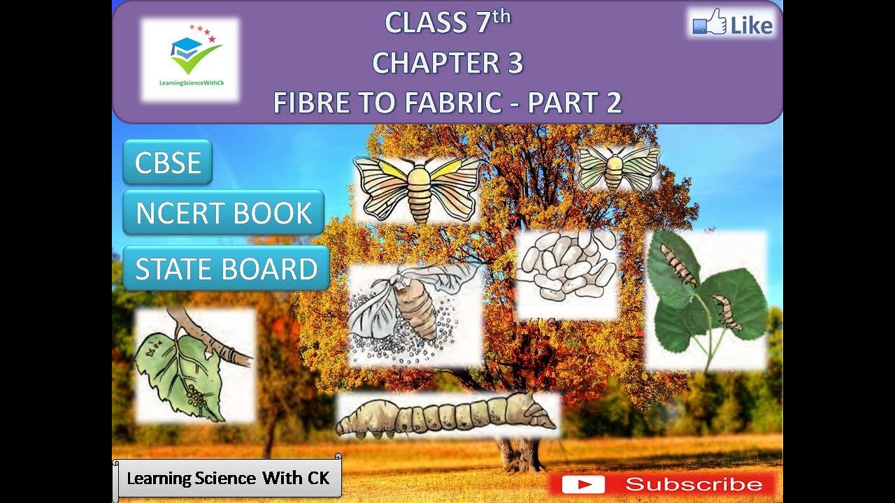 Fibre To Fabric | Class 7 Science | NCERT | Part 2 - YouTube