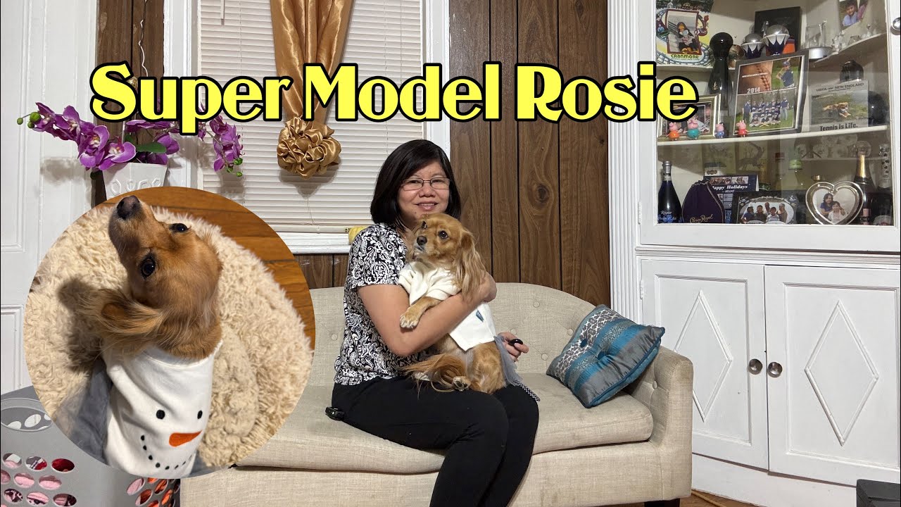 Thử đồ mới cho bé cún Rosie|| Super Model Puppy Rosie with new clothes ...
