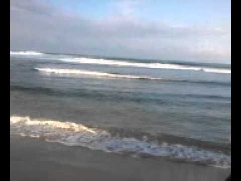 Pemandangan alam.mp4