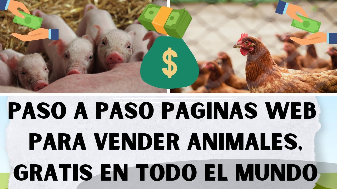 📢Paso a Paso Paginas web GRATIZ Para Vender Animales 2023📢 [ top 5 gana ...