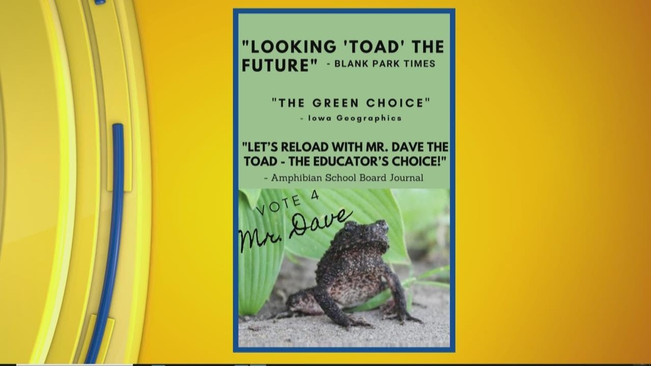 Meet 'Mr. Dave' the toad running for Mayor of Blank Park Zoo - YouTube