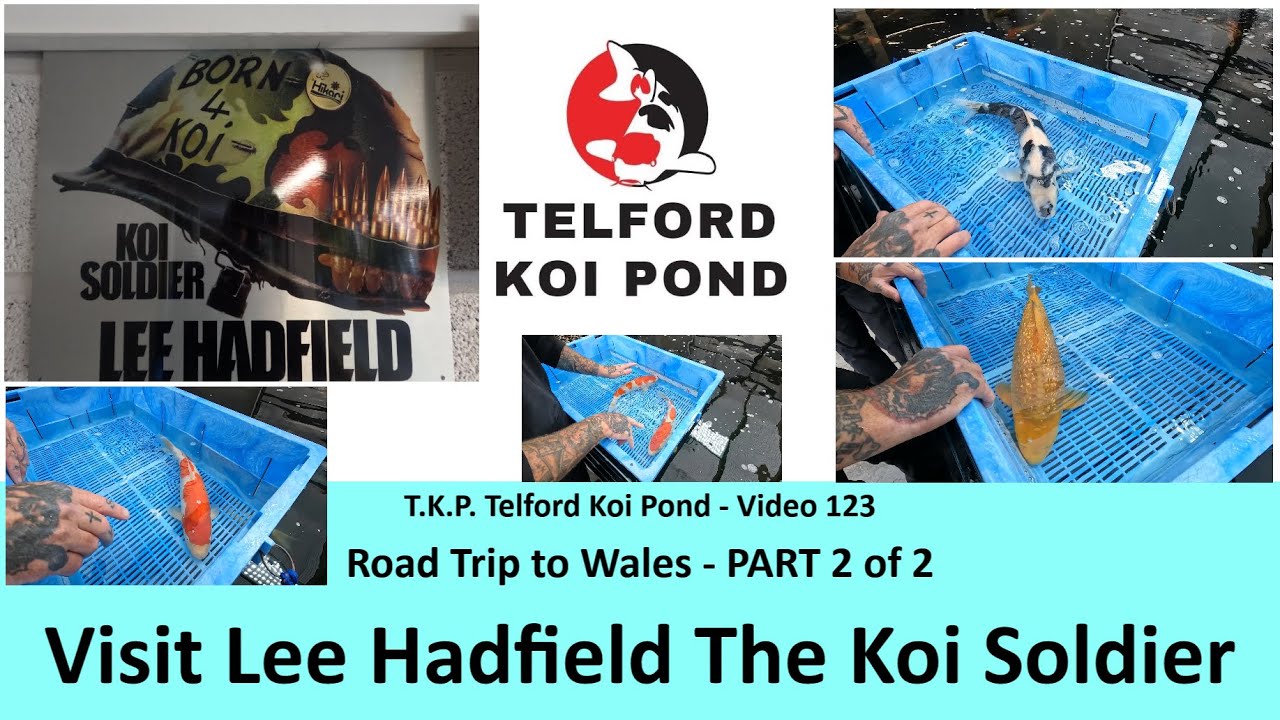 T.K.P. Telford Koi Pond - Video 123 – Visiting Lee Hadfield The Koi ...