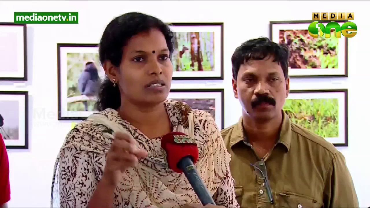 Wildlife photography exhibition in calicut art gallery - YouTube
