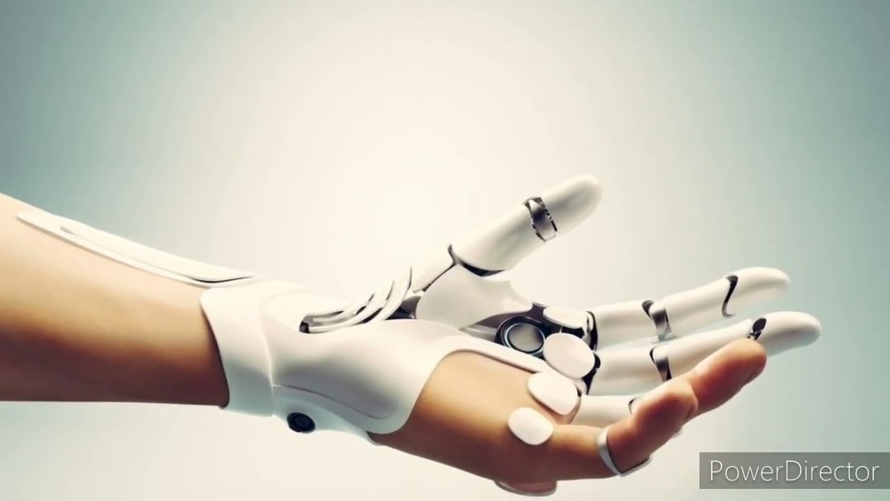 bionic engineering - YouTube