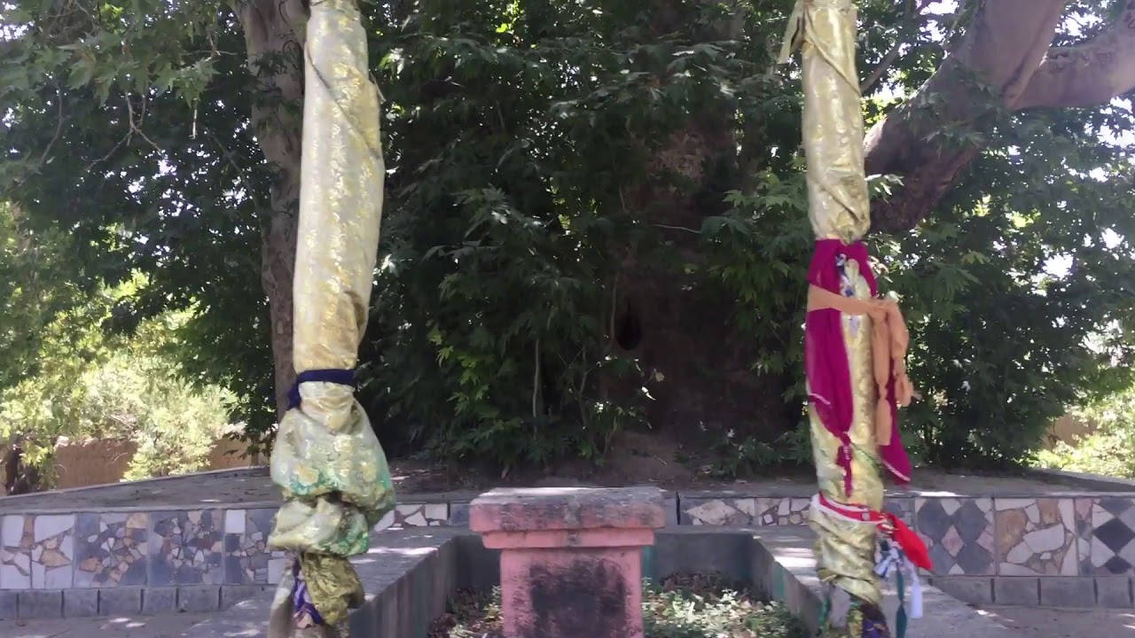 fazil big Malik Nazar Mohamad khan garden فاضل بیگ - YouTube