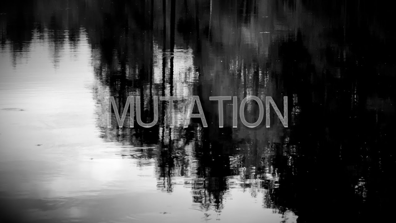 Jenny Räisänen – Mutation (Official Lyric Video) - YouTube