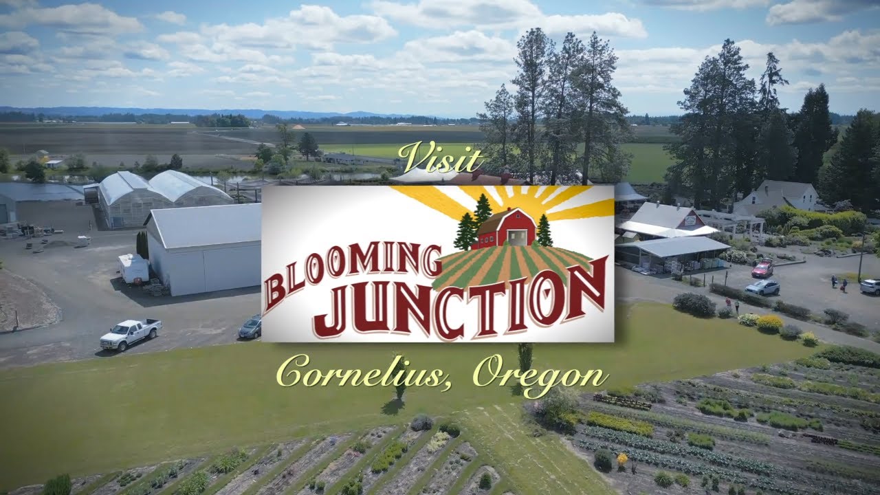 Visit Blooming Junction Farm and Garden Center - YouTube