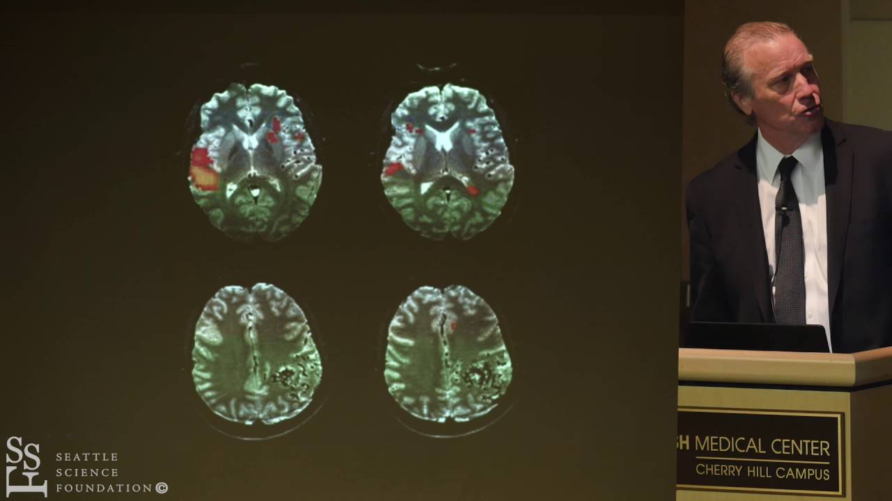 Into the Brain (Virtual Reality) - Neil A. Martin, MD - YouTube