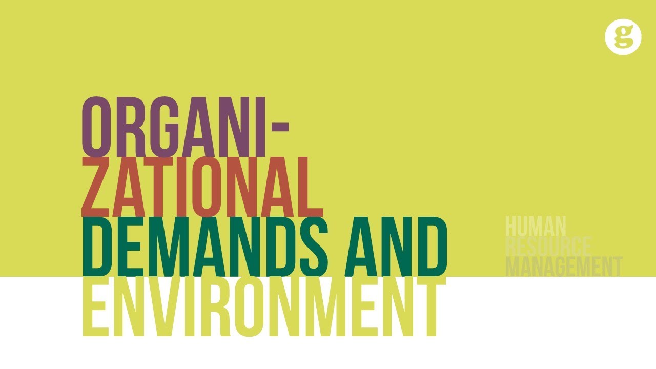 Organizational Demands and Environment - YouTube