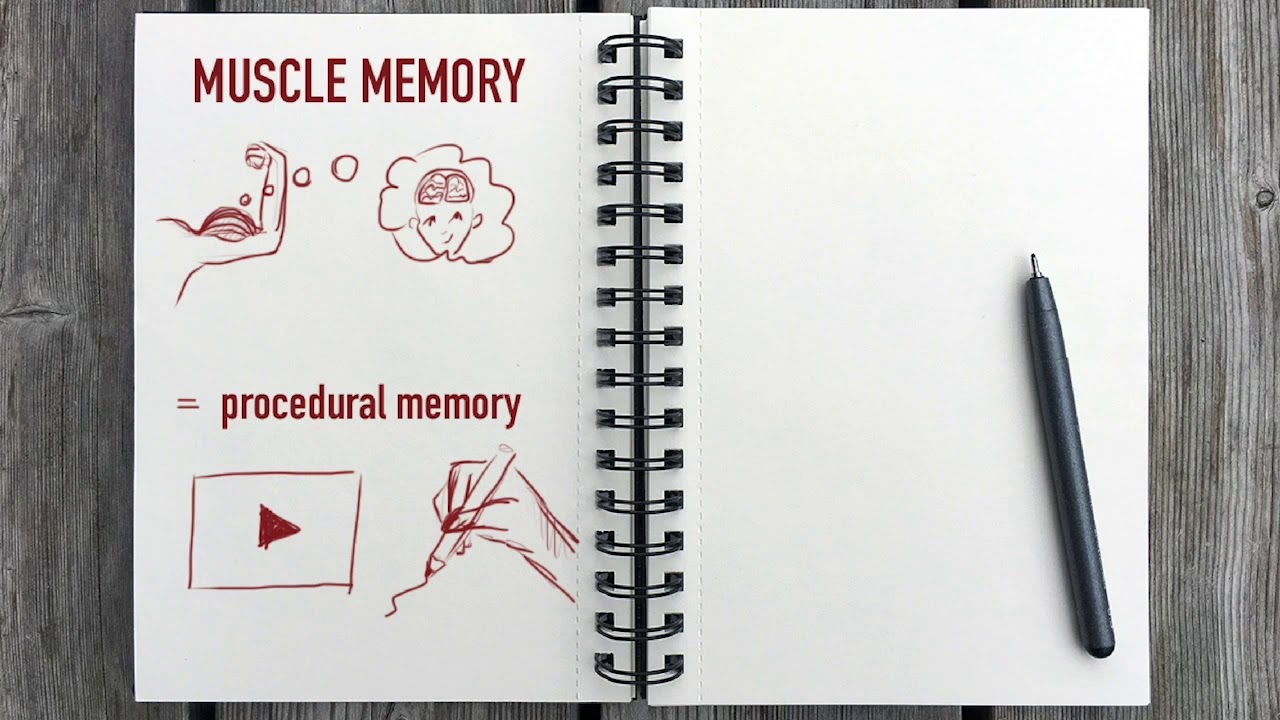 The concept of the MUSCLE MEMORY for improving drawing skills - YouTube