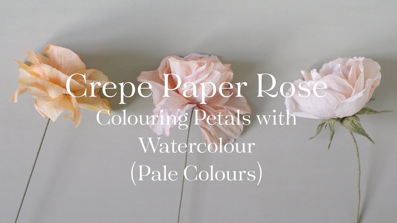 Colouring Crepe Paper Petals with Watercolour - (Speed Edit) - YouTube