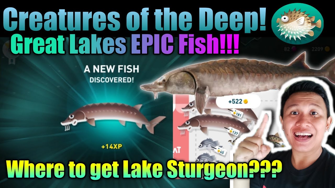 Lake Sturgeon Creatures of the Deep Cara Memancing Lake Sturgeon di ...