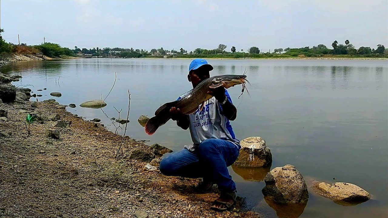 FISH HUNTING BIG FISH CATCHING. - YouTube