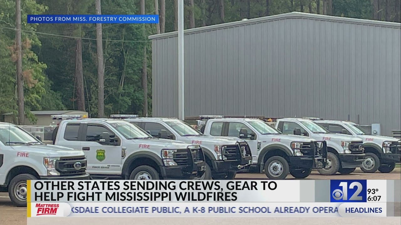 Mississippi Forestry Commission requests help from other states to ...