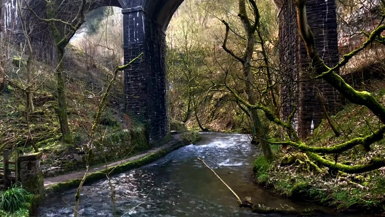 Nature Trail - Chee Dale, Peak District National Park, England - YouTube