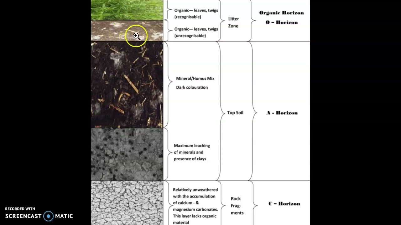 CHERNOZEM SOILS - YouTube