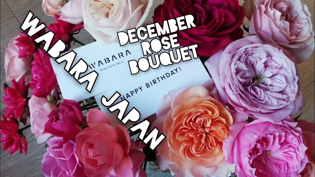 WABARA JAPAN DECEMBER BOUQUET by ROSE FARM KEIJI Kunieda! Murasaki, Koyomi, Miyabi, Gen, Aya ...