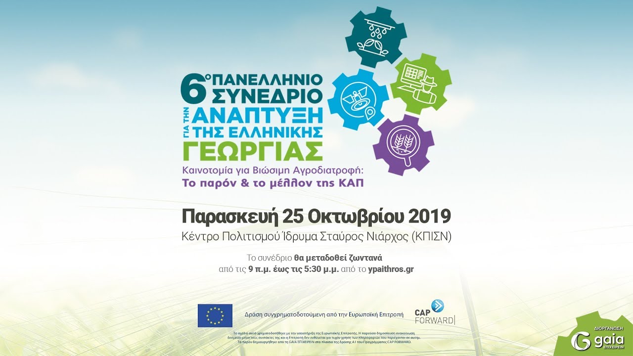 Ζωντανά το 6o Πανελλήνιο Συνέδριο για την Ανάπτυξη της Ελληνικής ...