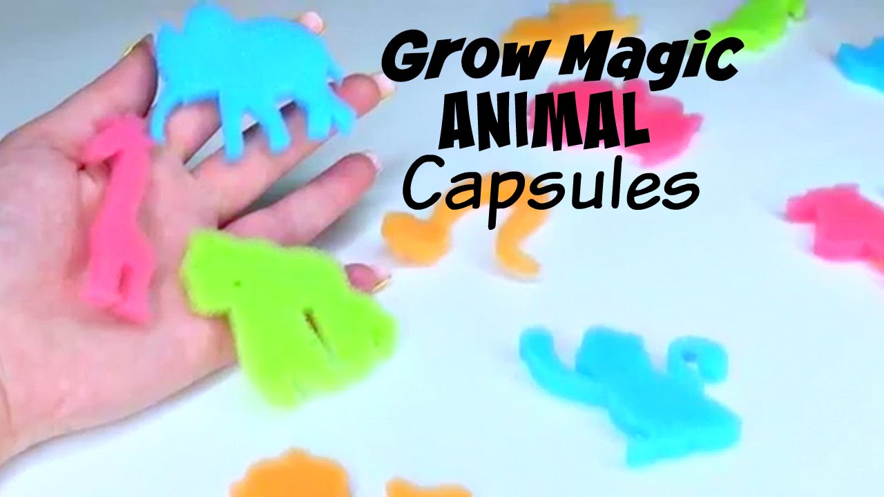 Grow Magic Animal Capsules! $1 - YouTube