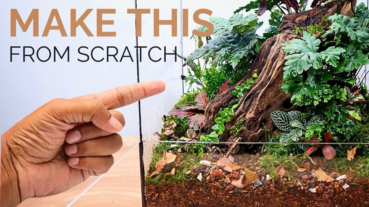 Create an Incredible Greenhouse Terrarium Ecosystem From Scratch - YouTube