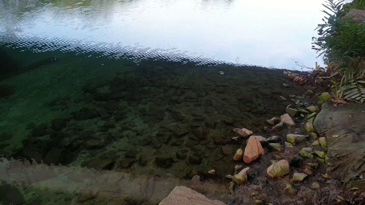 Sungai Rambai jernih waktu pkp - YouTube