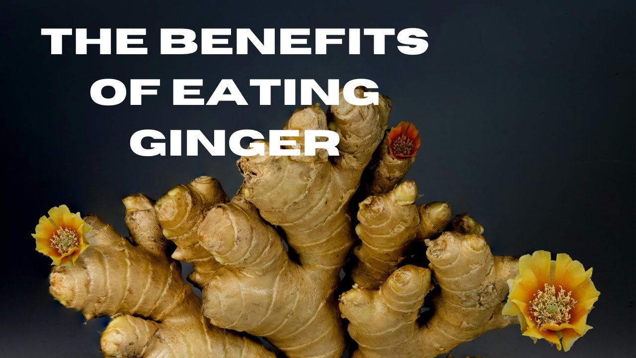 The benefits of consuming ginger - YouTube
