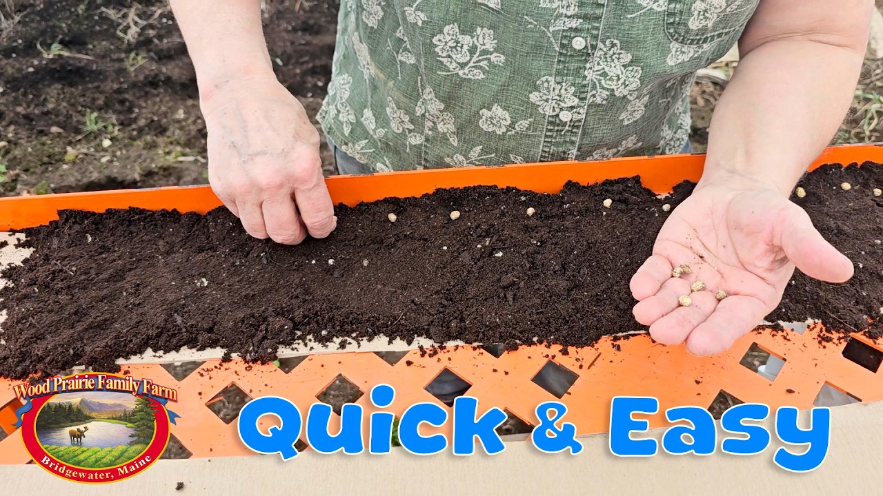 How to Make Revolutionary Seed Snails in YOUR Garden! - YouTube