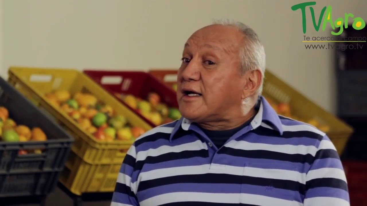 proyecto mango hilacha erney barrios - YouTube