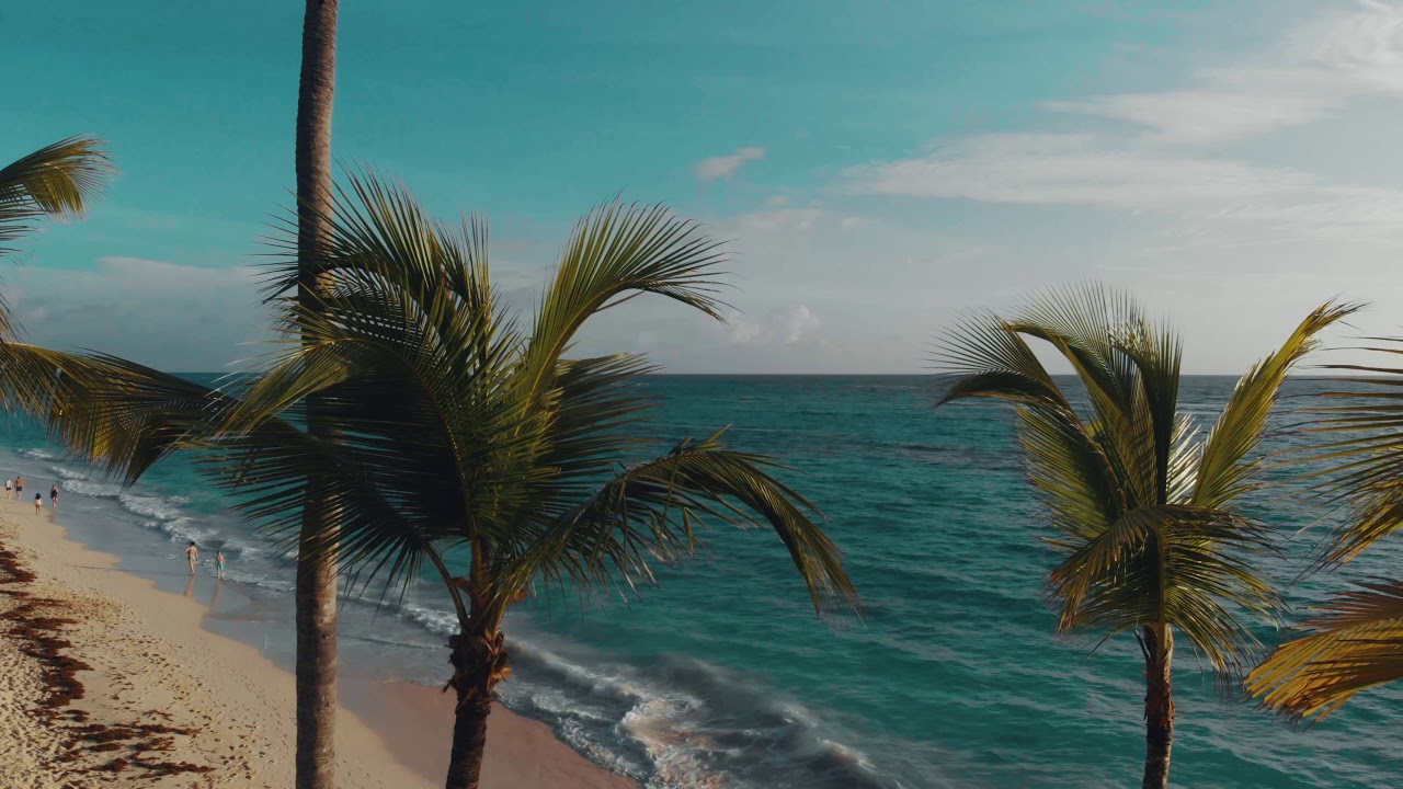 Beach Resort 4K Cinematic Free Stock Footage | Free To Use - YouTube