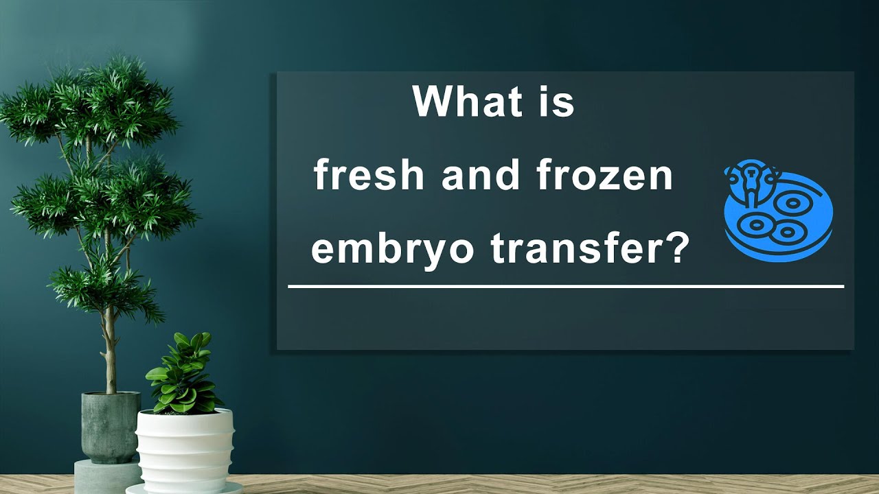 FAQ IN IVF || What is Fresh and Frozen Embryo Transfer || - YouTube
