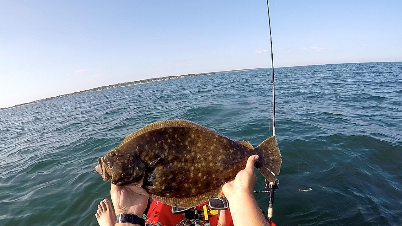 Jumbo Fluke and a limit of large Black Sea Bass | Montauk kayak fishing ...