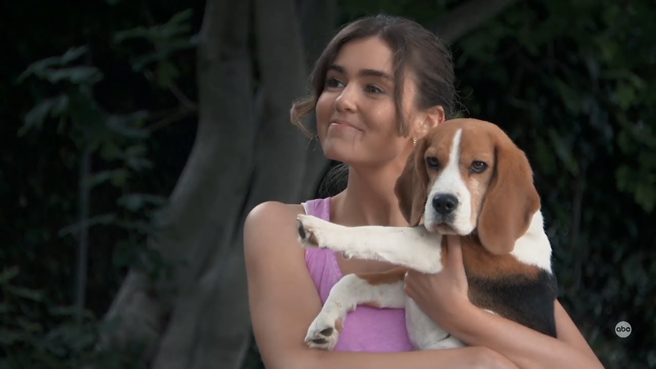 Emma Decides To Keep the Missing Dog Outback on General Hospital (Jun ...