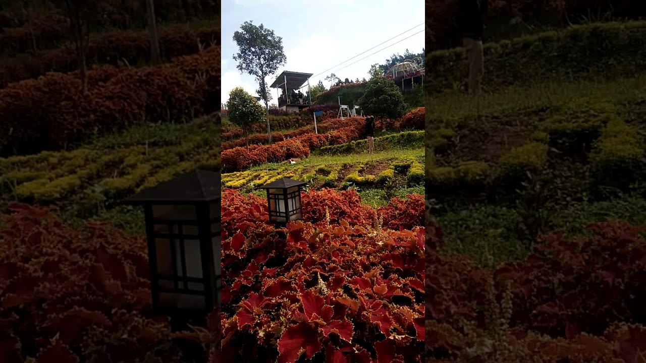 Taman langit bukit tangkeban - YouTube