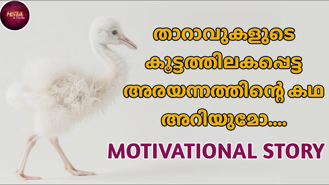 MOTIVATION STORY | താറാവുകളുടെ കൂട്ടത്തിലകപ്പെട്ട അരയന്നത്തിന്റെ കഥ ...