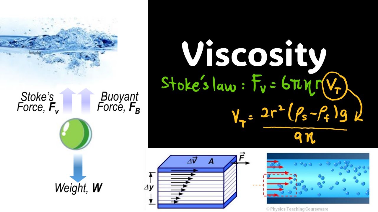 Viscosity of Fluid - YouTube