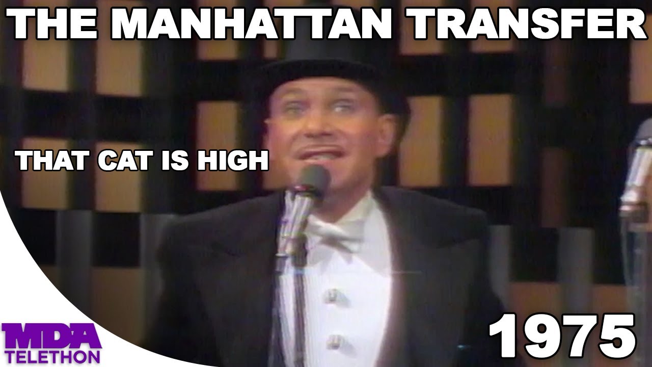 The Manhattan Transfer - "That Cat Is High" (1975) - MDA Telethon - YouTube
