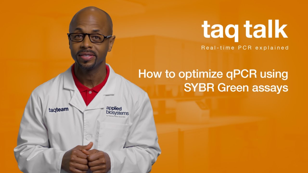 How to optimize qPCR using SYBR Green Assays--Taq Talk Episode 21 - YouTube