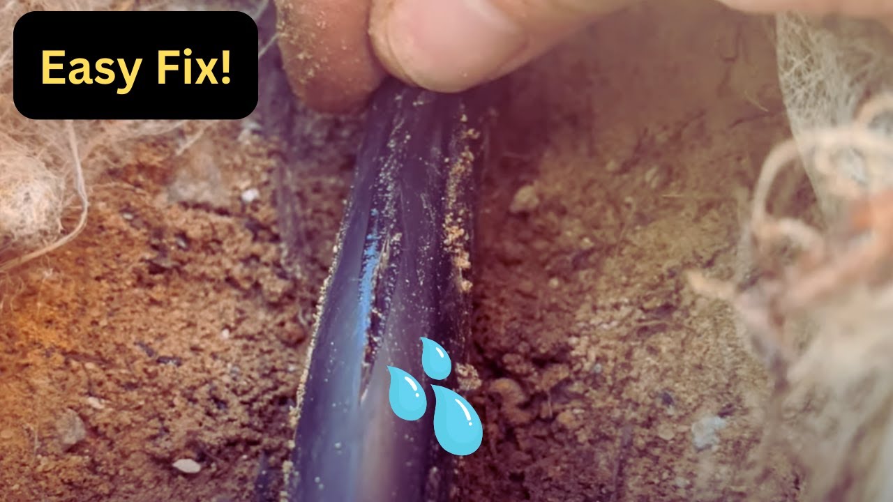 Drip Irrigation System Leak Repair - YouTube