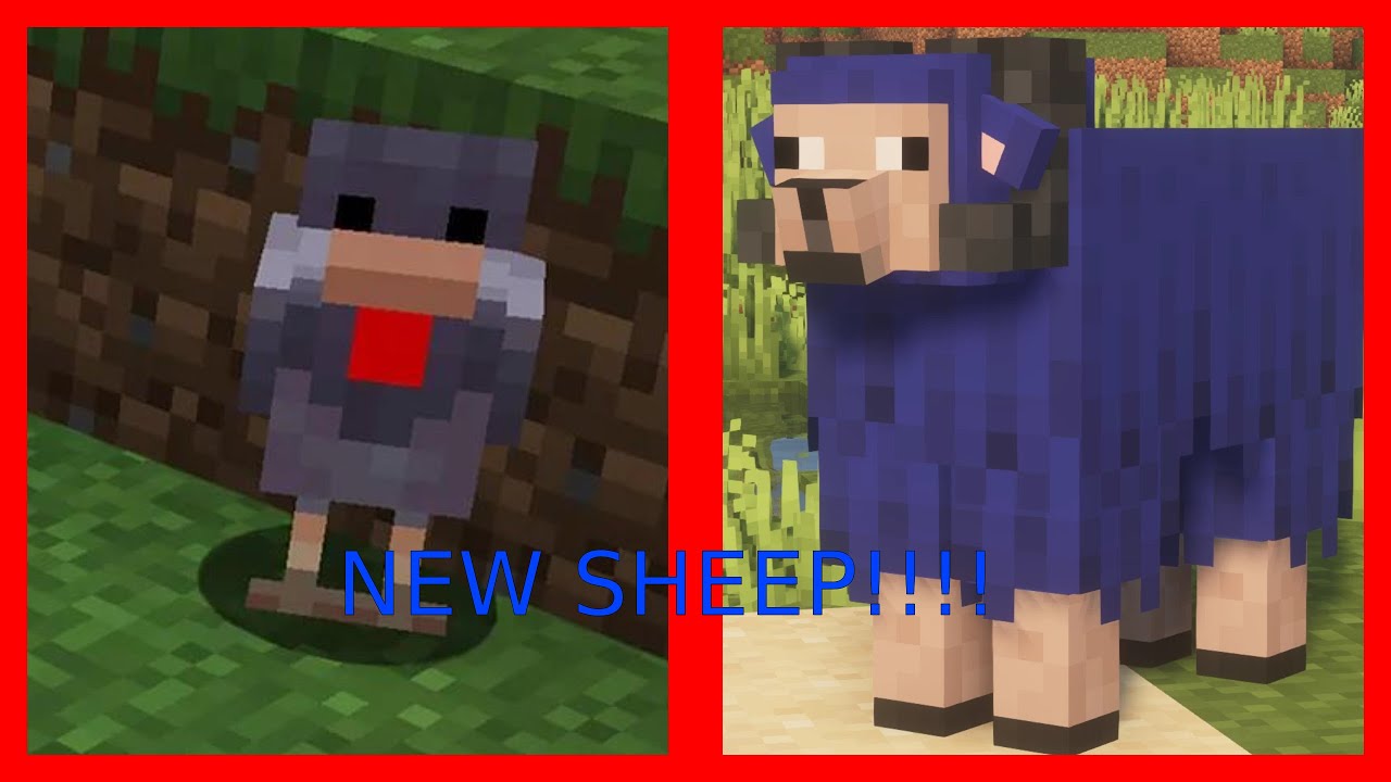 THEY ADDED NEW CHICKENS!!!!! | Minecraft lastest snapshot 25w06a - YouTube