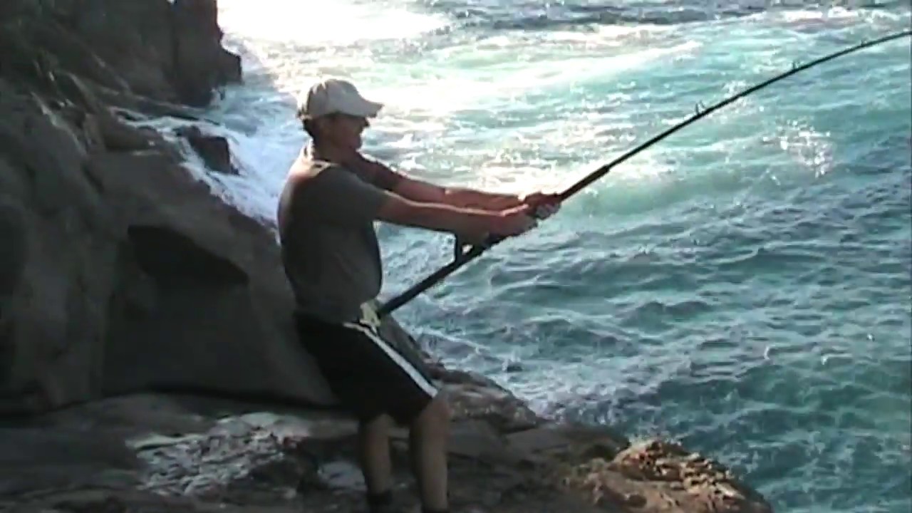 Fishing Foster for sharks. - YouTube